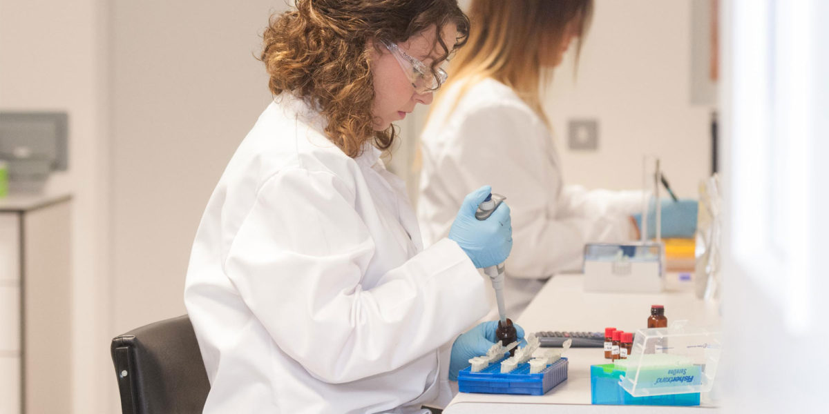 What we do | About | Údarás na Gaeltachta